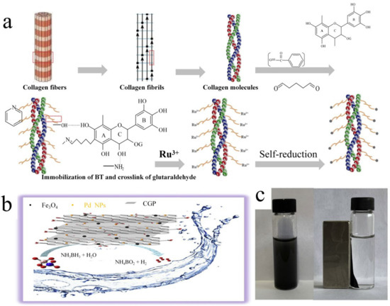 Collagen and Silk Fibroin as Promising Candidates for Constructing ...