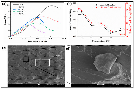 Fused Deposition Modeling and Characterization of Heat Shape Memory Poly(lactic) Acid-Based ...