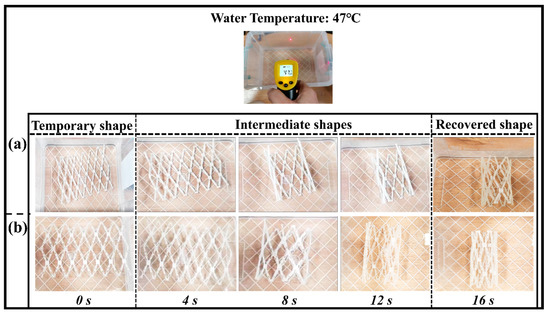 Fused Deposition Modeling and Characterization of Heat Shape Memory Poly(lactic) Acid-Based ...