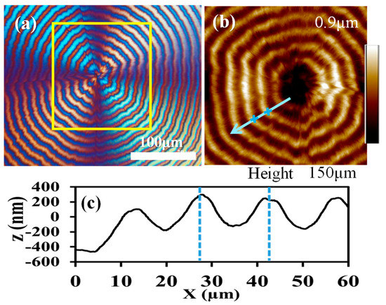 Polymers | Free Full-Text | Crystal-by-Crystal Assembly in Two Types of ...