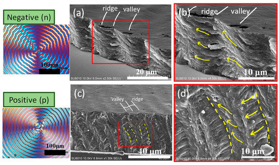 Crystal-by-Crystal Assembly in Two Types of Periodically Banded ...