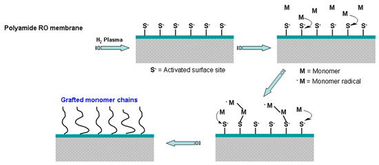Plasma Surface Engineering of Natural and Sustainable Polymeric ...