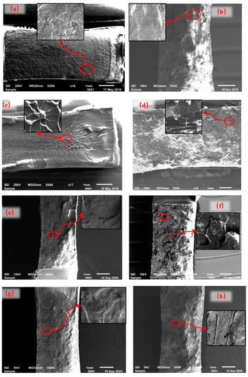 Influence of Polymer Matrices on the Tensile and Impact Properties of ...