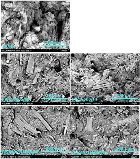 Complex Effects of Hemp Fibers and Impact Modifiers in Multiphase ...