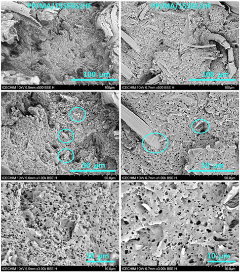 Complex Effects of Hemp Fibers and Impact Modifiers in Multiphase ...