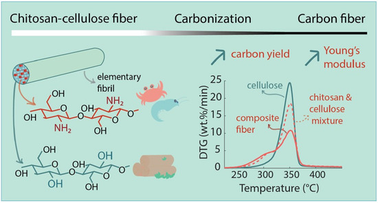 Cellulose–Chitosan Functional Biocomposites