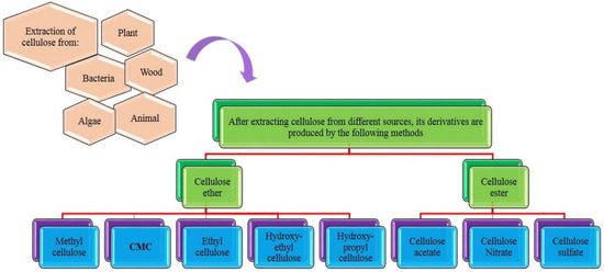 Micro-/Nano-Carboxymethyl Cellulose as a Promising Biopolymer with ...