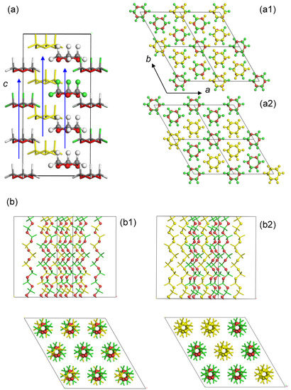 Polymers | Free Full-Text | Hybridization of Wide-Angle X-ray and Neutron Diffraction Techniques ...
