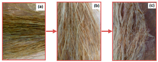 Extraction and Characterization of Fiber and Cellulose from Ethiopian ...