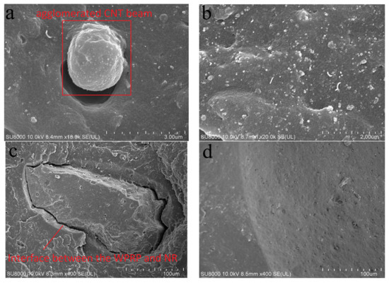 Improving Dispersion of Carbon Nanotubes in Natural Rubber by Using ...