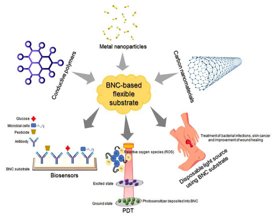 Review of Bacterial Nanocellulose as Suitable Substrate for Conformable ...