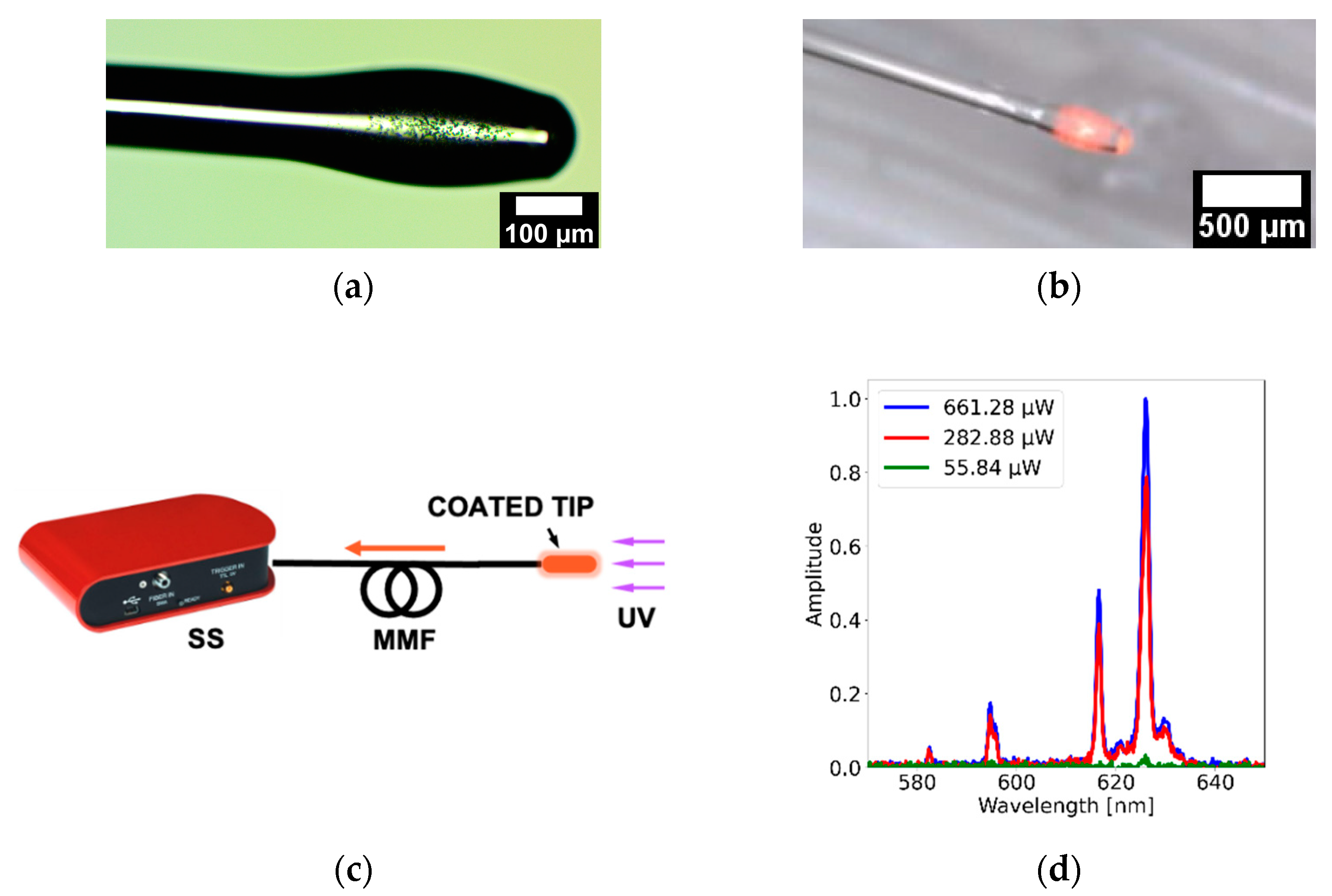 Polymers | Free Full-Text | Luminescent Polymer Composites for Optical ...