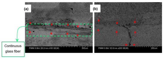 Thermal, Tensile and Fatigue Behaviors of the PA6, Short Carbon Fiber ...