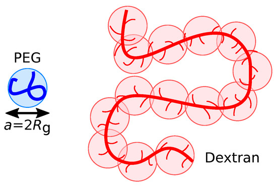 Confinement-Induced Fractionation and Liquid–Liquid Phase Separation of ...