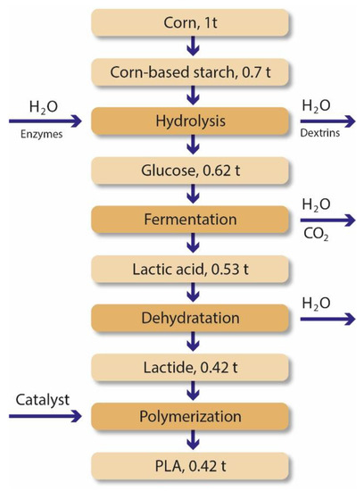 Polymers | Free Full-Text | Bioplastics: Innovation for Green Transition