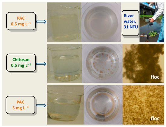 Chitosan as an Outstanding Polysaccharide Improving Health-Commodities ...