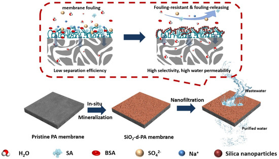 Polymers | Free Full-Text | Advanced Polymeric Nanocomposite Membranes ...