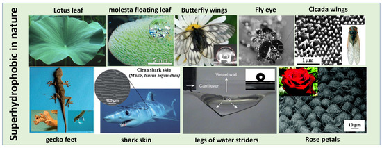 Advances in Bioinspired Superhydrophobic Surfaces Made from Silicones ...