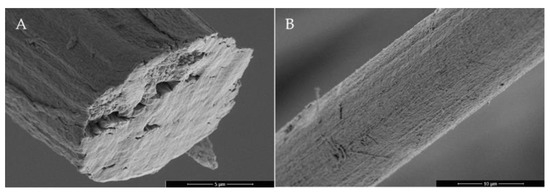 Development of Porous-Polyacrylonitrile-Based Fibers Using ...