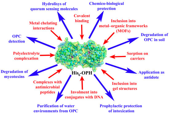 Carrier Variety Used in Immobilization of His6-OPH Extends Its ...