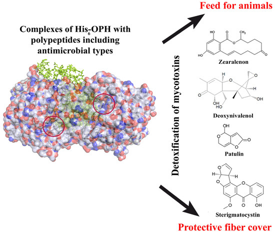 Carrier Variety Used in Immobilization of His6-OPH Extends Its ...
