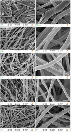 Electrospun Co Nanoparticles@PVDF-HFP Nanofibers as Efficient Catalyst ...