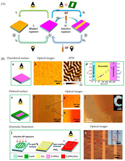 Polymers | Free Full-Text | Smart Polymer Surfaces with Complex Wrinkled Patterns: Reversible ...