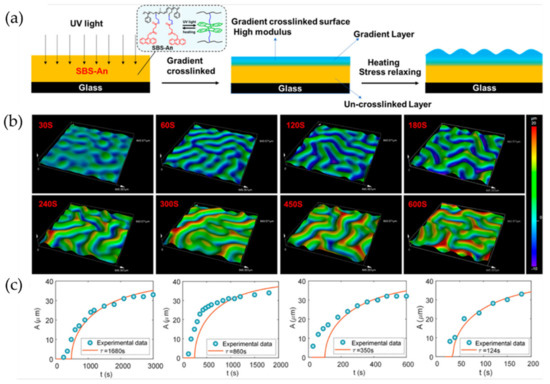 Polymers | Free Full-Text | Smart Polymer Surfaces with Complex ...