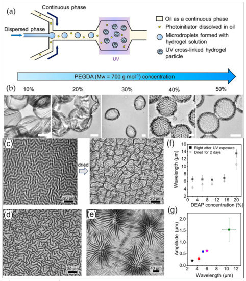 Polymers | Free Full-Text | Smart Polymer Surfaces with Complex Wrinkled Patterns: Reversible ...