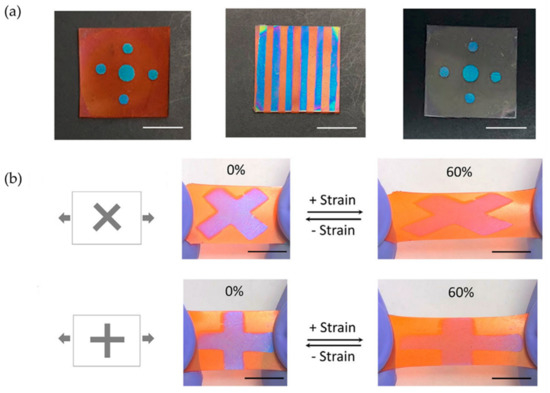 Smart Polymer Surfaces with Complex Wrinkled Patterns: Reversible, Non ...