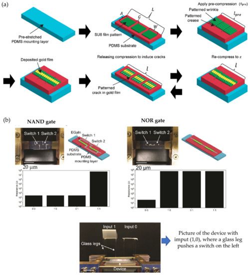 Polymers | Free Full-Text | Smart Polymer Surfaces with Complex Wrinkled Patterns: Reversible ...