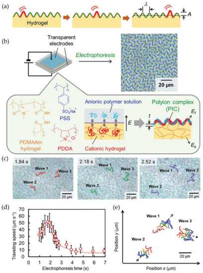 Polymers | Free Full-Text | Smart Polymer Surfaces with Complex Wrinkled Patterns: Reversible ...