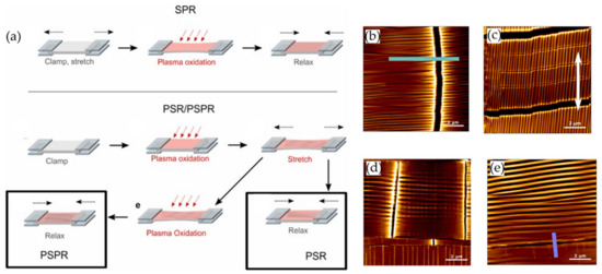 Smart Polymer Surfaces with Complex Wrinkled Patterns: Reversible, Non ...