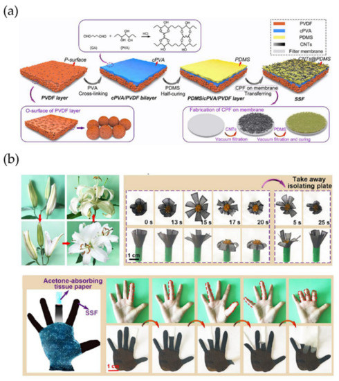Smart Polymer Surfaces with Complex Wrinkled Patterns: Reversible, Non ...