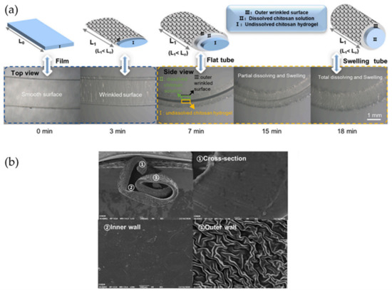 Smart Polymer Surfaces with Complex Wrinkled Patterns: Reversible, Non ...