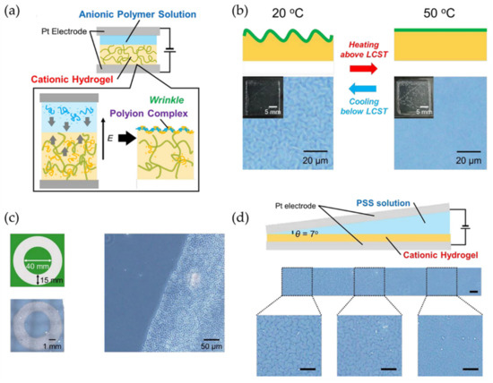 Smart Polymer Surfaces with Complex Wrinkled Patterns: Reversible, Non ...