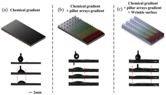 Smart Polymer Surfaces with Complex Wrinkled Patterns: Reversible, Non ...