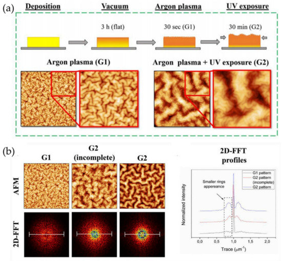 Polymers | Free Full-Text | Smart Polymer Surfaces with Complex Wrinkled Patterns: Reversible ...