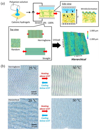 Polymers | Free Full-Text | Smart Polymer Surfaces with Complex Wrinkled Patterns: Reversible ...