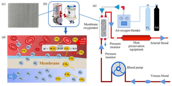 Polymeric Membranes for Biomedical Applications