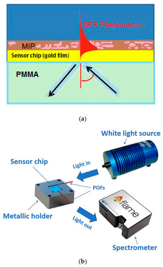 Molecularly Imprinted Polymer-Based Sensors for Protein Detection