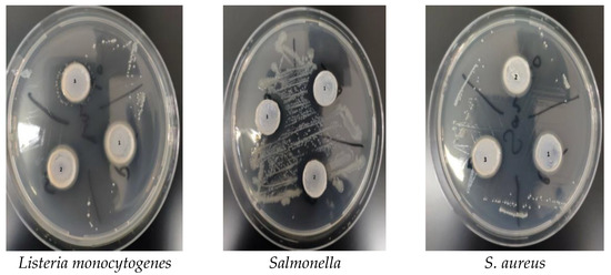 Proporties and Synthesis of Biosilver Nanofilms for Antimicrobial Food ...