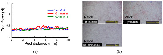 Development of a Method for Peeling Off Paper from Celluloid Pictures ...