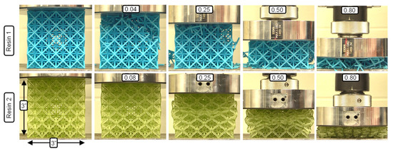 Polymers | Free Full-Text | The Energy Absorption Behavior of 3D ...