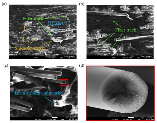 Fiber Orientation and Strain Rate-Dependent Tensile and Compressive ...