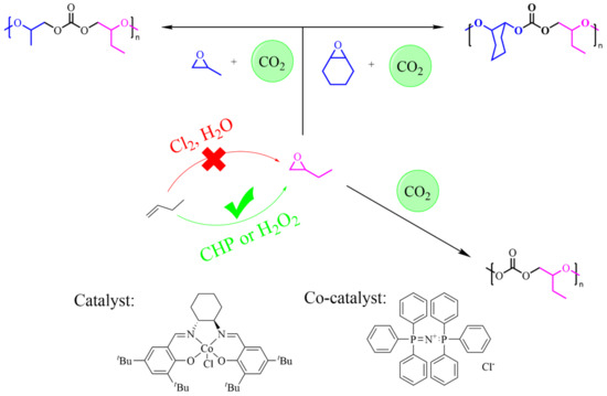 Copolymerization of Carbon Dioxide with 1,2-Butylene Oxide and ...