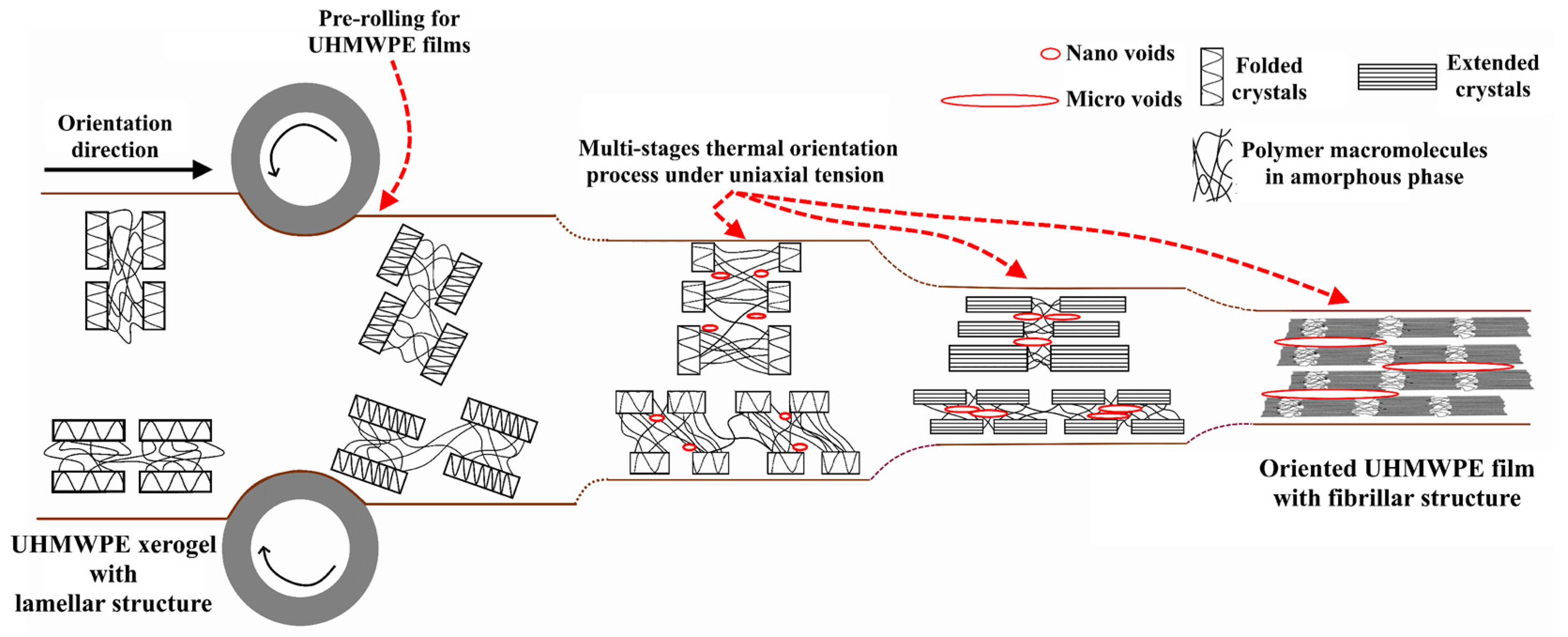 Structural, Mechanical, and Tribological Properties of Oriented Ultra-High Molecular Weight ...