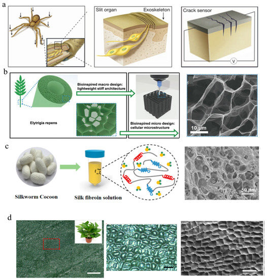Polymers | Free Full-Text | Progress in Microtopography Optimization of Polymers-Based Pressure ...