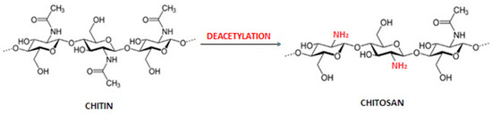 Chitin and Chitosan as Polymers of the Future—Obtaining, Modification ...