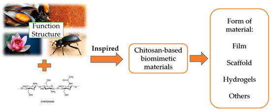 Chitin and Chitosan as Polymers of the Future—Obtaining, Modification ...
